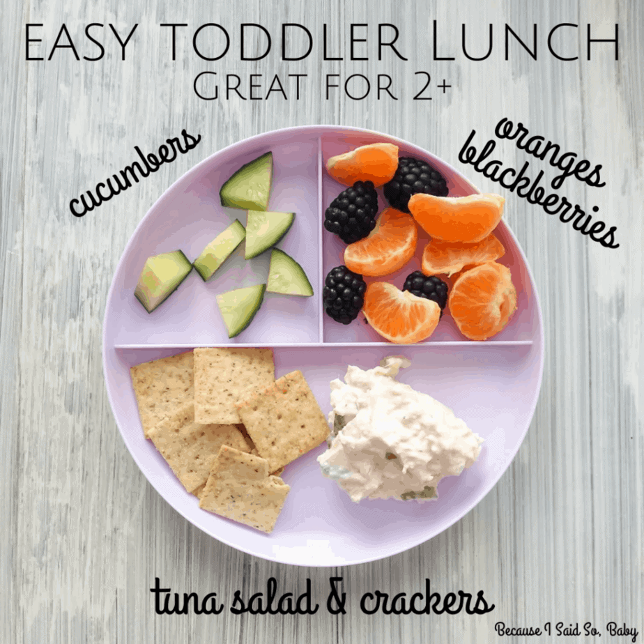 3 Year Old Meal Ideas Feeding Schedule Because I Said So Baby 3 Year Old Meal Ideas Feeding Schedule Because I Said So Baby