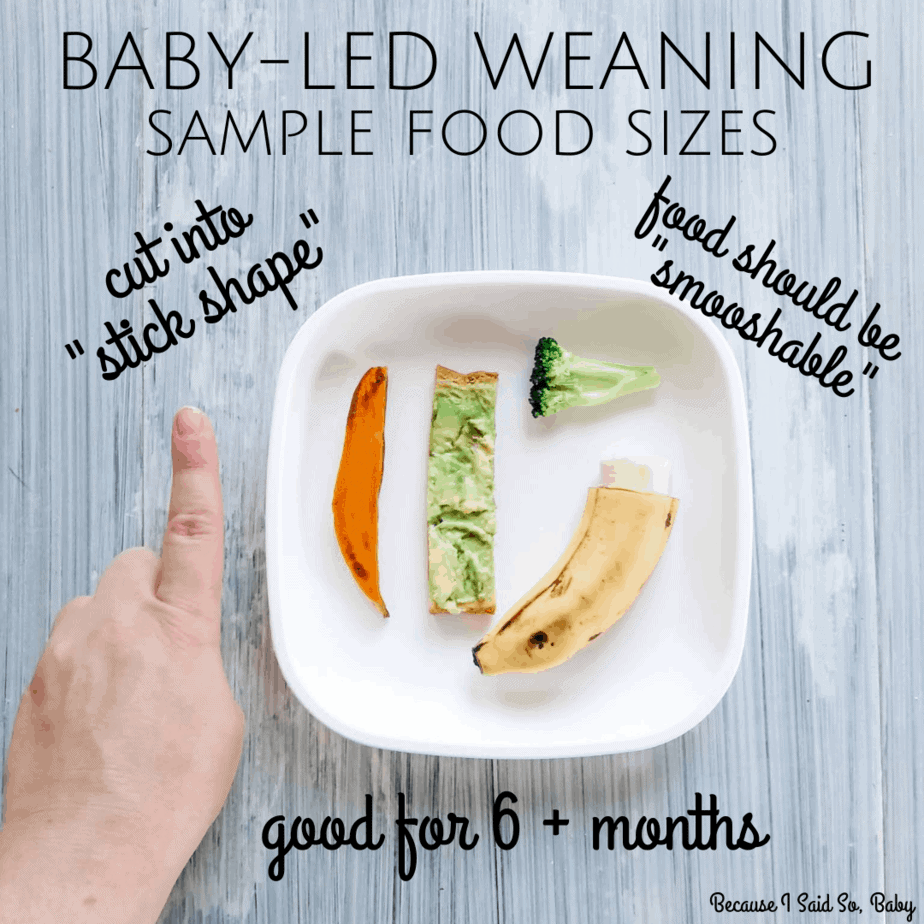 6 Month Old Baby-Led Weaning Meal Ideas & Feeding Schedule - Because I ...