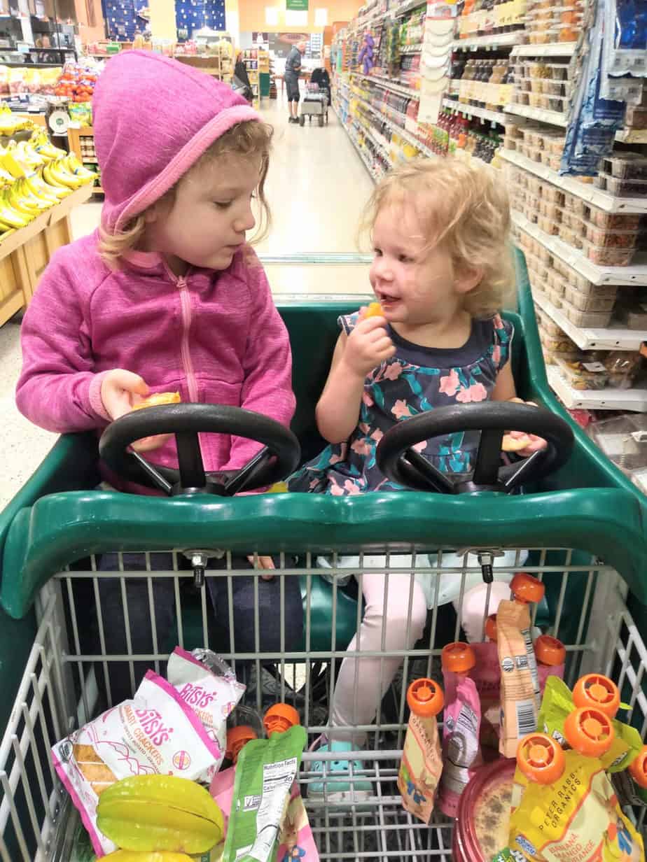 Back to School Grocery Shopping List (Free Printable) - Because I Said ...